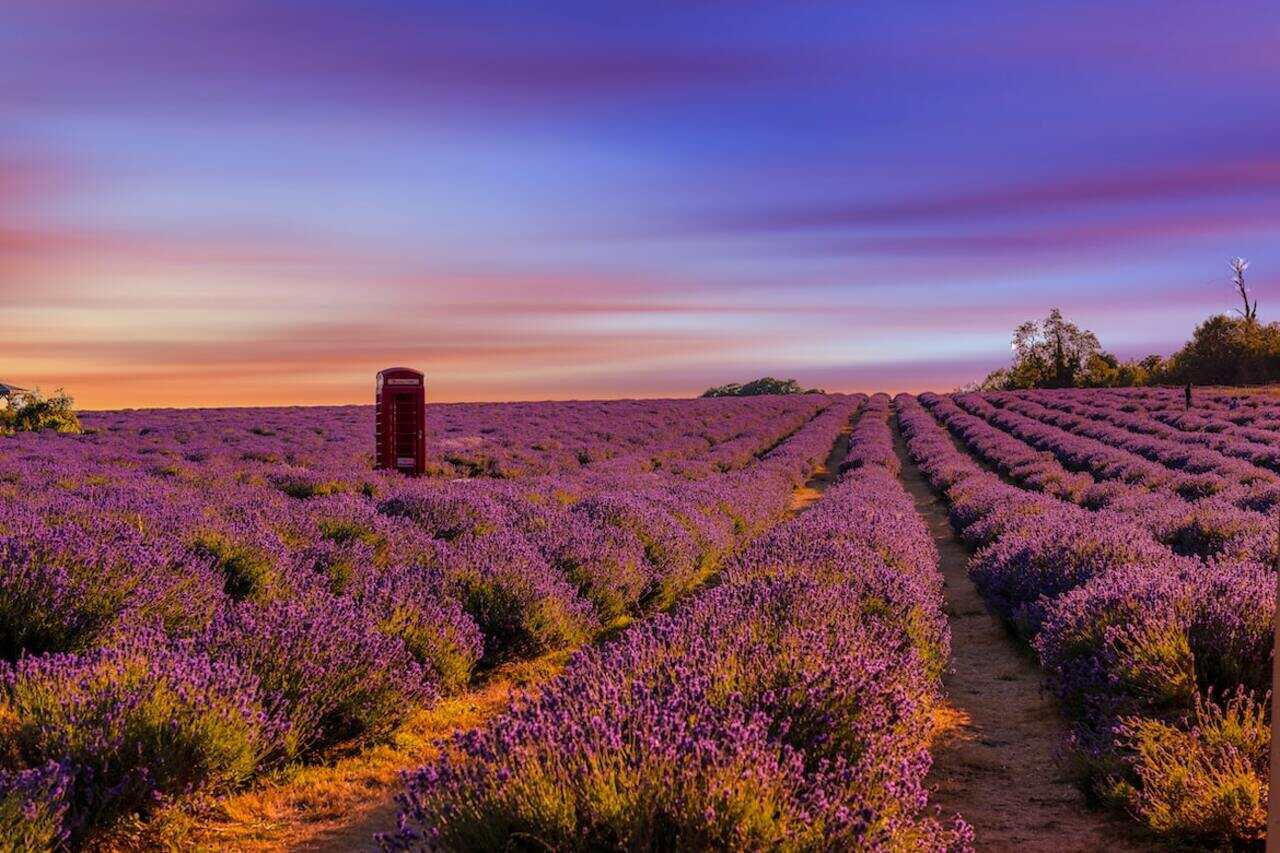 11 best things to do in London in summer - London Bucket List